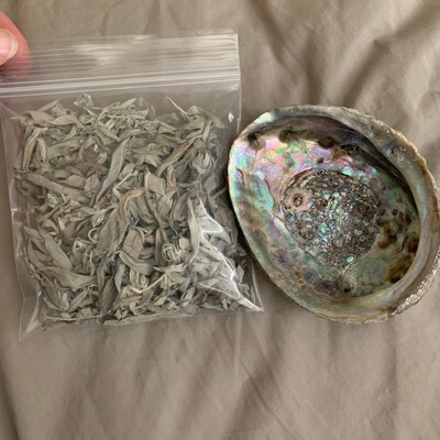 Smudge Shell With Sage personal Size - Etsy