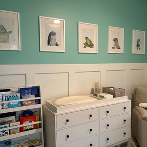 Safari Animals With Musical Instruments Prints, Set of 6 Music Theme ...