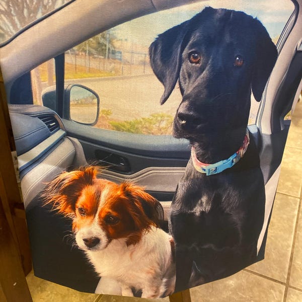 Book Tote Bag, Book Tote, Cute Reading Bag, Tote Bag Gift, Vibrant ...