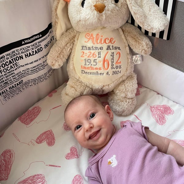 Personalized Stuffed Animal, Personalized Baby Gift, Birth Announcement ...