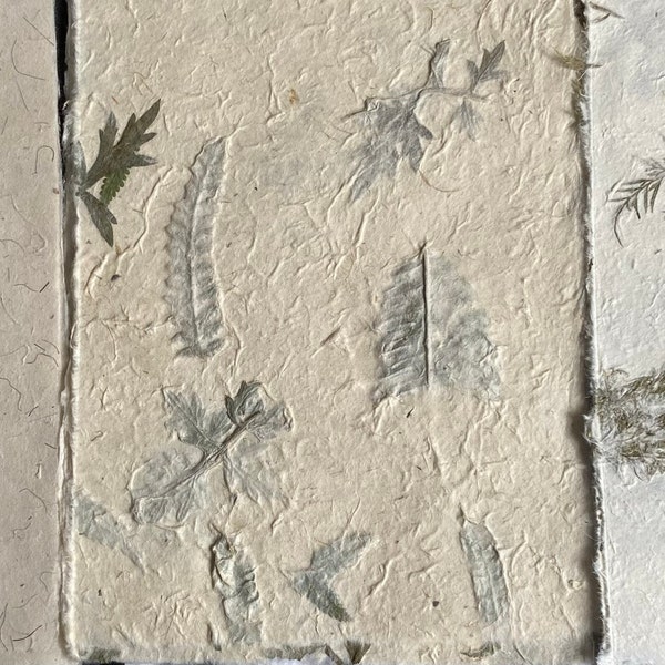 Onionskin Full/half Sheets Onion Paper, 20 X 30 Inches, Himalayan ...