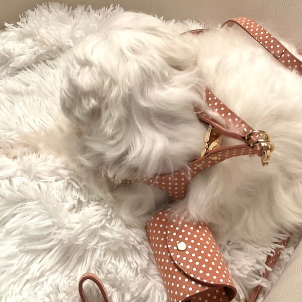 Leather Harness for Small Dogs. Chihuahua, Yorkshire Terrier, Maltese ...