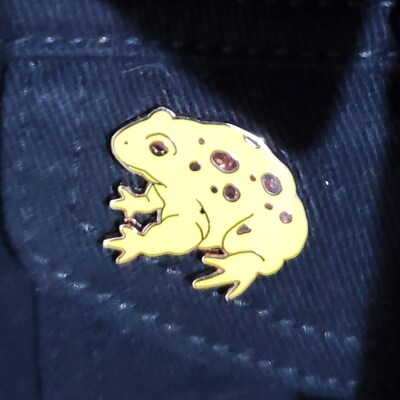 Toad Enamel Pin - Etsy