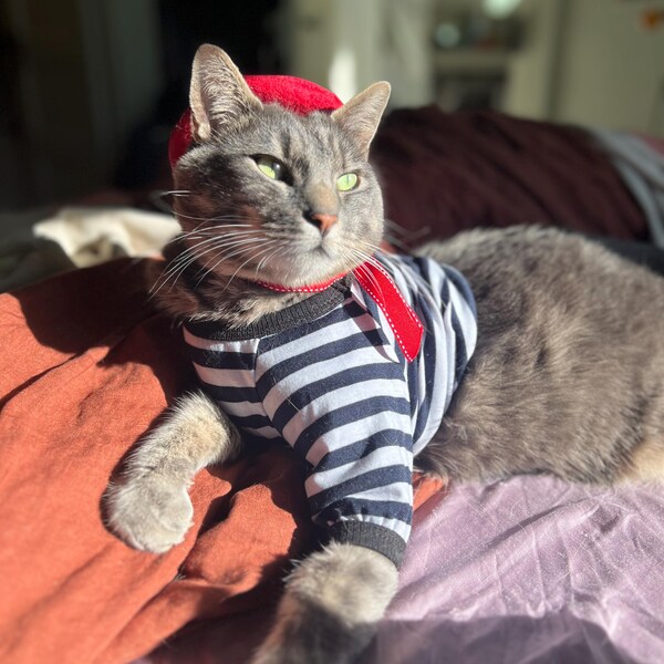 Complete French Cat Outfit- Cat Beret, Ascot and Striped Shirt Pet ...