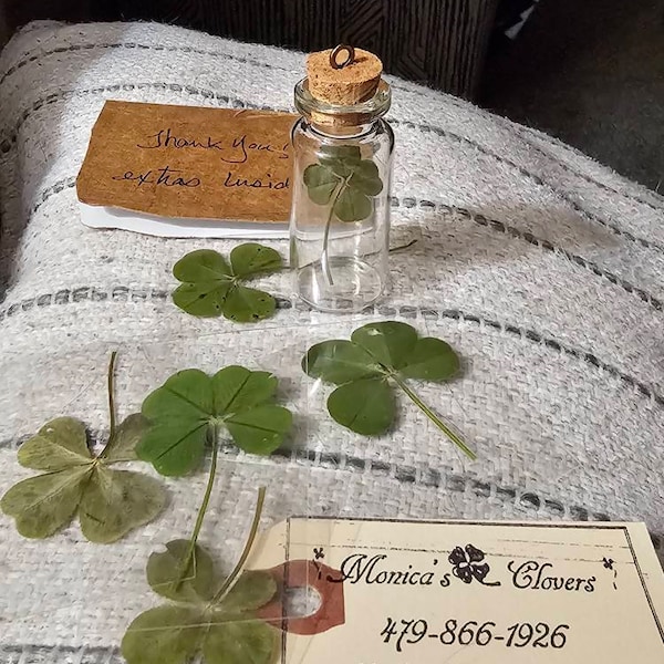 Real Four Leaf Clover in a Wishing Bottle-genuine Laminated 4 Leaf ...