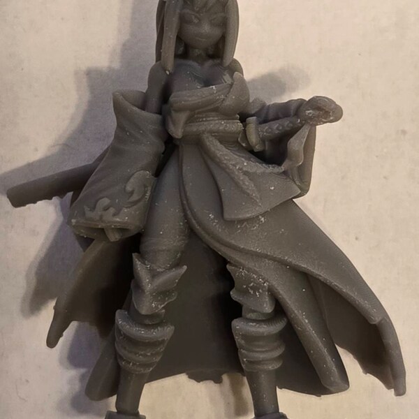 Doge Paladin of Bonking - 28mm Dnd Miniature - Village's Hope ...