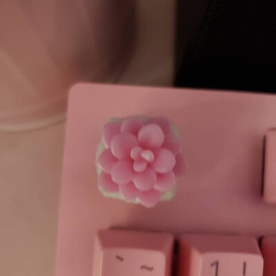 Rose Flower Artisan Keycap Cherry MX Mechanical Gaming Keyboards - Etsy