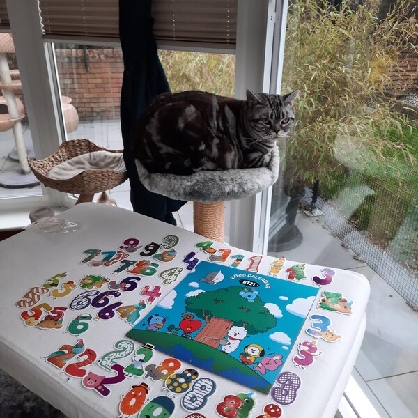 Pack of 50 Sea Life Stickers, Ocean Life Sticker Pack, Waterproof ...