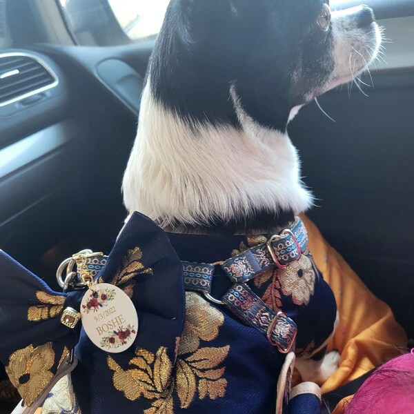 Traditional Indian Dog Kurta – Luxury Pet Clothing for Celebrations - Etsy
