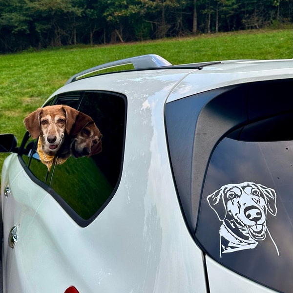 Pet Sticker/dog Car Decal/ Gift for Pet Lover/gift for Pet Owner ...