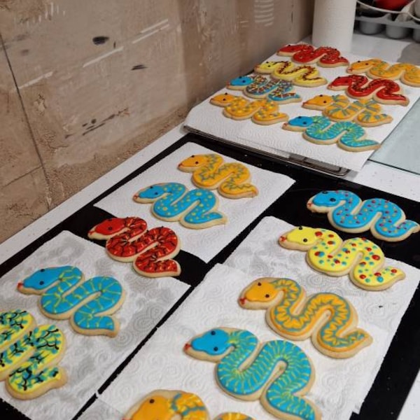 Snake Cookie Cutter - Etsy