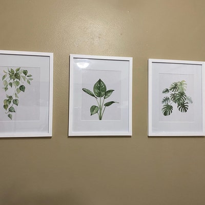 Botanical Print Set Living Room Wall Art Plant Posters Leaf - Etsy