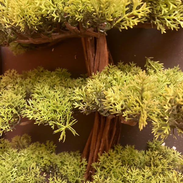 Bonsai Tree Tableau - 1 - Tree Portrait, Tree Wall Art, Tree Wall Decor ...