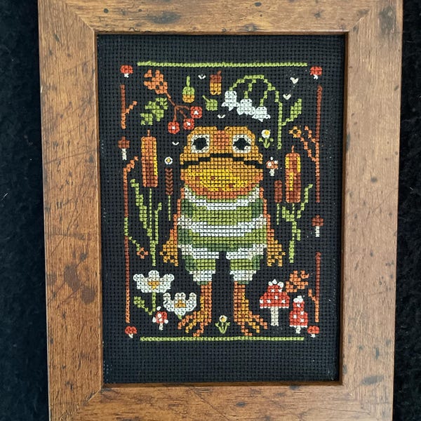 Toad Cross Stitch Pattern, Frog Cross Stitch, Spring Cross Stitch ...