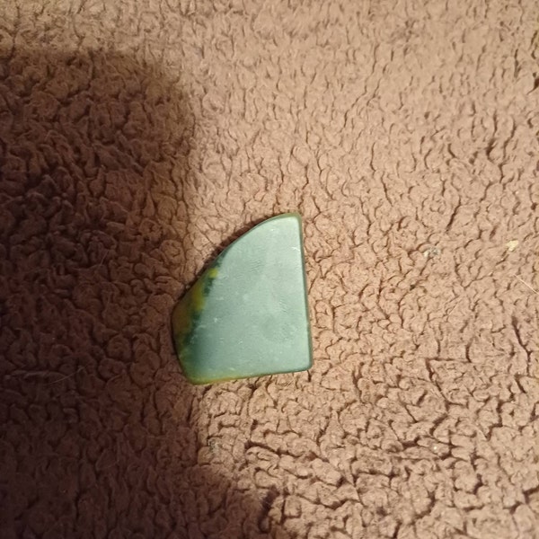 Dinosaur Fossil Tooth Pendant Mosasaurus Tooth Pendant Fossil Tooth ...