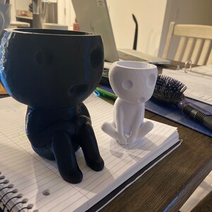 Sitting Kodama Planter Pot for Succulents, Air Plants Other Plants Tree ...