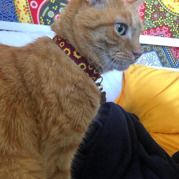 Autumn Cat Collar- Fall Cat Collar- Holiday Cat Collar- Leaves Cat ...