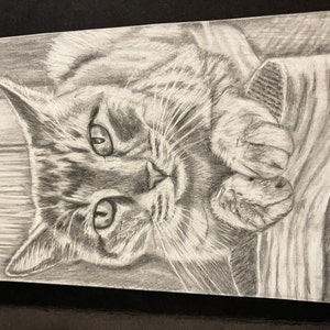 Learn to Draw Pre-outlined Pencil & Paper Drawing Kit W/ Tutorial Easy ...