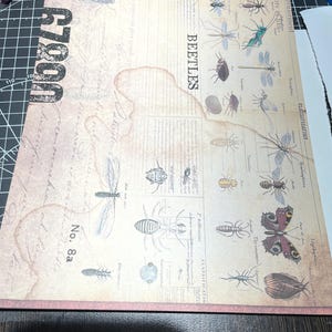 Printable Alteration Tags – Large Vintage Ephemera for Junk Journals ...