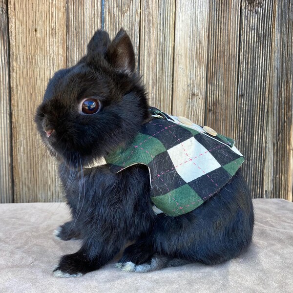 Autumn Ginkgo Wool Short Dress, Pet Bunny Dress/harness, Rabbit ...