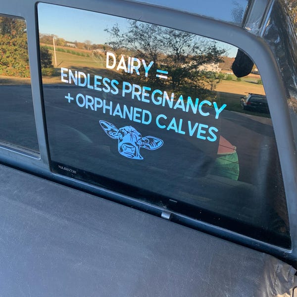 Custom Holographic Car Decals, Custom Large Oversized Vinyl Stickers ...