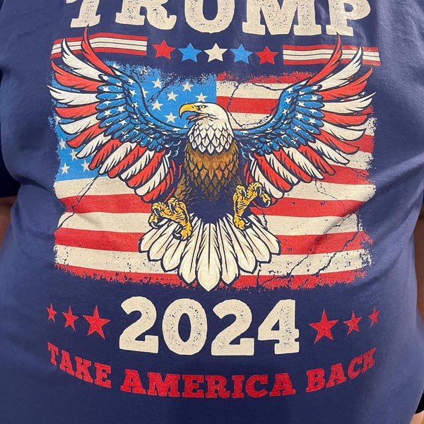 US Bill of Rights Poster USA Historical Document Framed Vertical Poster ...