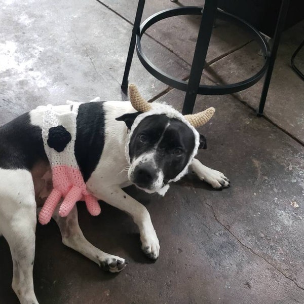 Udderly Adorable Cow Udder Dog Costume! Horn “hat” Also Available ...