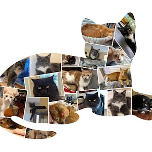 Anniversary Gifts for Disney Lovers You Are My Greatest - Etsy