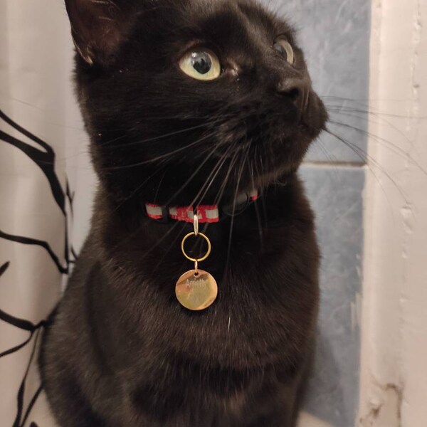 Personalized Dog Tag, Cat Identification Medallion, Engraved Medallion ...