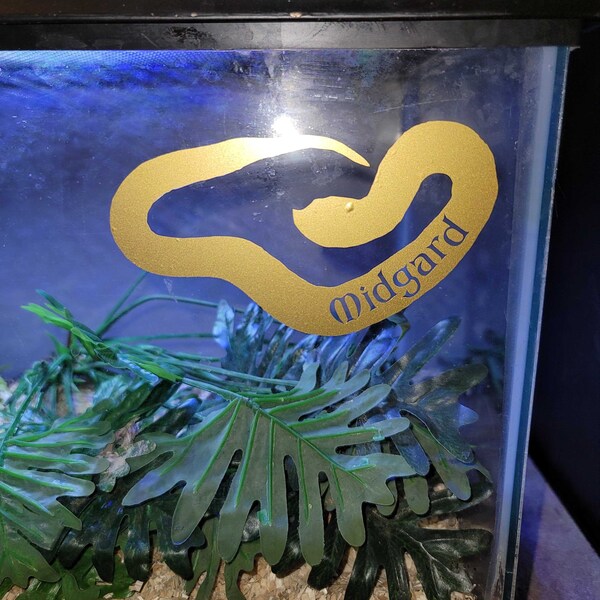 Customizable Name Hognose Snake Vinyl Decal (READ DESCRIPTION) - Etsy