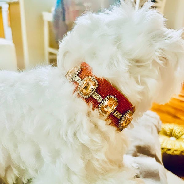 Bright Pink Rhinestone Bling Dog Collar, 4 Rows of Diamonds, 1" Wide ...