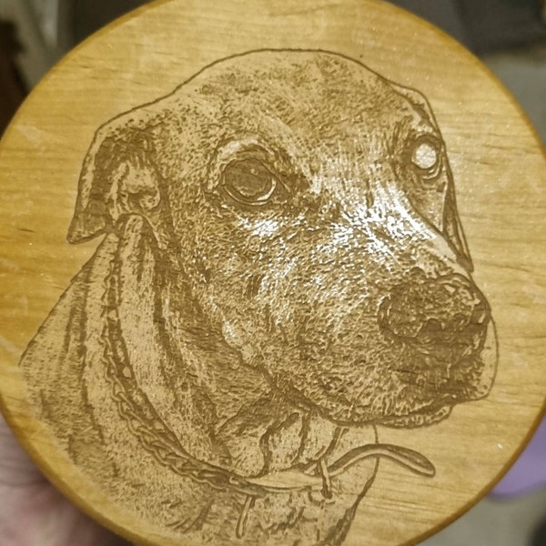 Deep Shadow Box, Cat Shadow Box, Dog Memorial Frame - Etsy