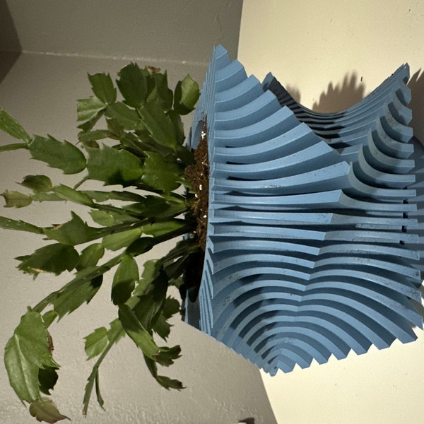 A “ANIO” 3D Custom Printed Wacky Planter Pot | Modern Home Office Decor ...