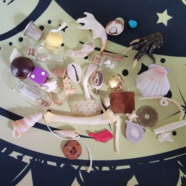 Throwing the Bones Book & Kit 129 Pgs and 15 Pc Learn to Throw the ...