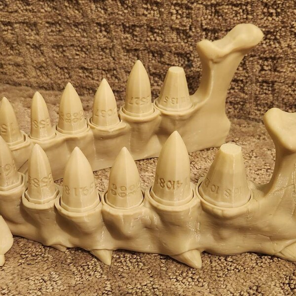 Dragon Teeth Dice Set - Etsy