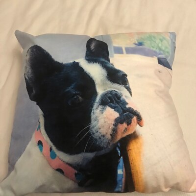 Pets Personalised Cushion Pet Memorial Pet Loss Gift Dog - Etsy UK