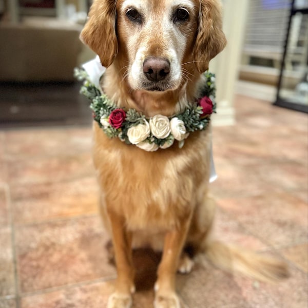 Burnt Orange Dog Collar Wreath, Rust Dog Bouquet, Fall Dog Flower ...