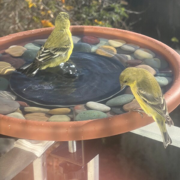 Alaska River Rock 10 Pounds River Rocks Bulk Wedding Stones Alaska ...