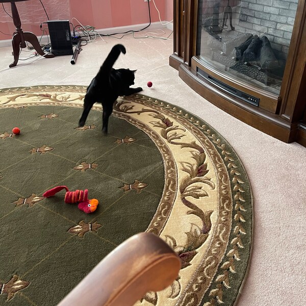 Felt Fairy Finger Puppets, Colourful Rainbow Gnomes and Fairy, Gifts ...