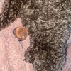 Toroidal Orgone Talisman - Etsy