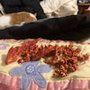 Mizu Element Dragon 3d Printed Articulated Dragon - Etsy