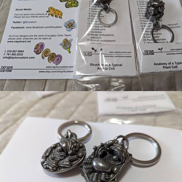Plant Cell Biology Keychain, Microbiology , Botany, Plant Biology ...