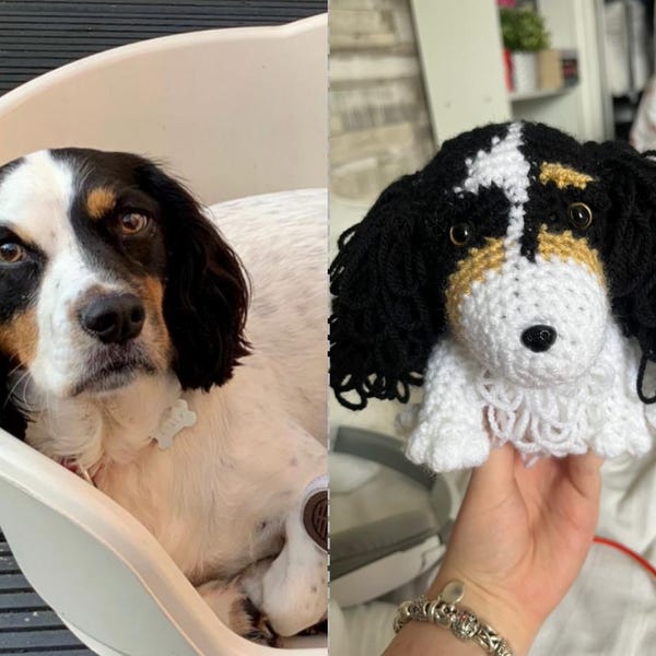Cavalier King Charles Spaniel Dog Crochet Pattern - Etsy