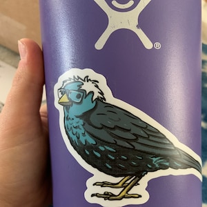 Birdie Sanders Sticker / Vinyl / Laptop Sticker / Small Bumper Sticker ...