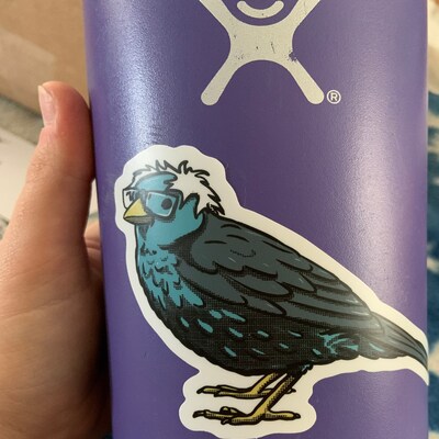 Birdie Sanders Sticker / Vinyl / Laptop Sticker / Small Bumper Sticker ...