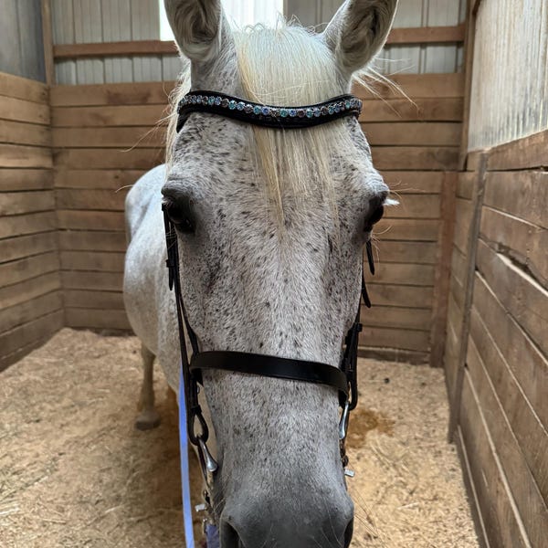 Anatomical Bridle - Verity Bit Lifter for Mouthy / Sensitive Horse ...