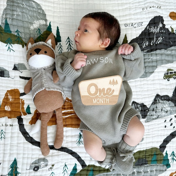 Baby Monthly Milestone Markers, Wood Milestone Disc, Baby Photo Props ...