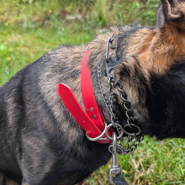 Blaze Orange Waterproof Hunting Dog Collar - Personalized Engraved ...