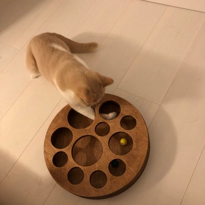 Cat Toys Push'n'ring. Interactive Cat Toy, Best Cat Toys, Cat Furniture ...