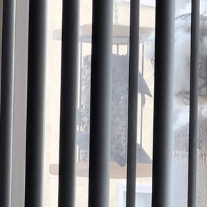 4" Animal Tile Guard, Drainage Guard, Varmint Pipe Guard, Squirrel Pipe ...